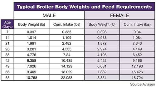 Broiler Chicken Growth Charting - Backyard Poultry